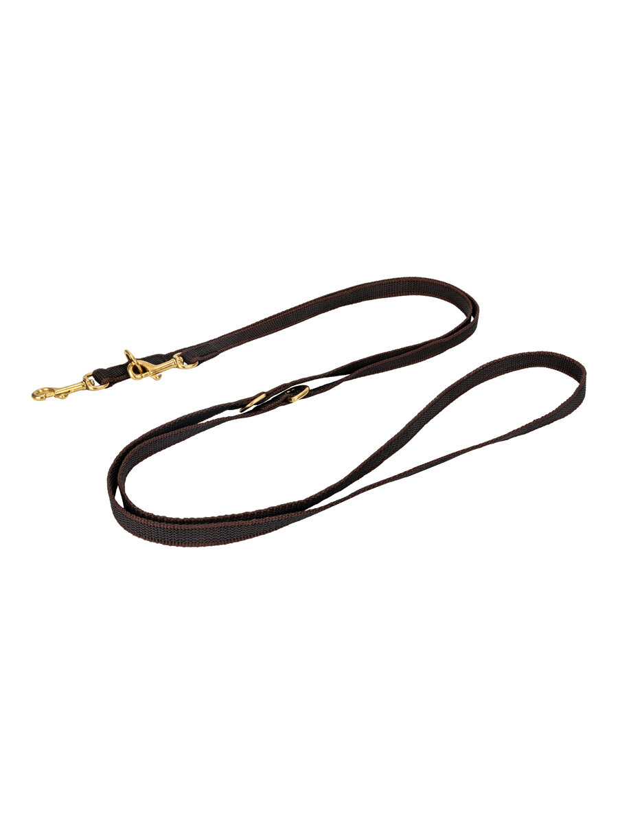 Поводок-перестёжка профессиональный лёгкий (нейлон с латексом) 15мм*2,6м (коричнев.) (Бронза), 71-2617