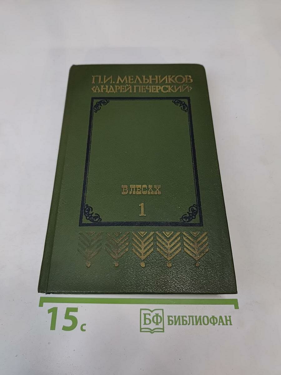 В лесах. Книга первая