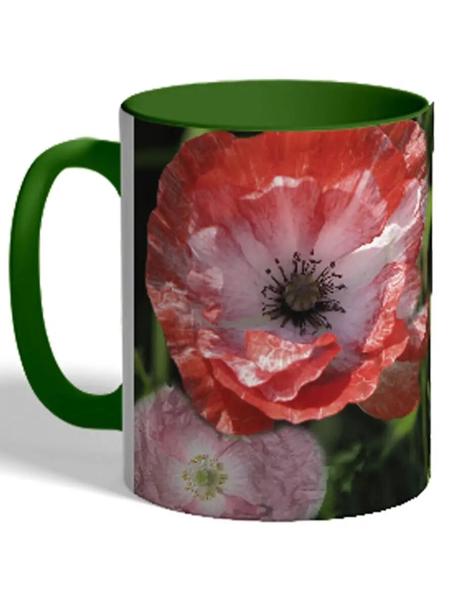 Кружка керамическая с принтом Маки, подарочная, объем 330 мл