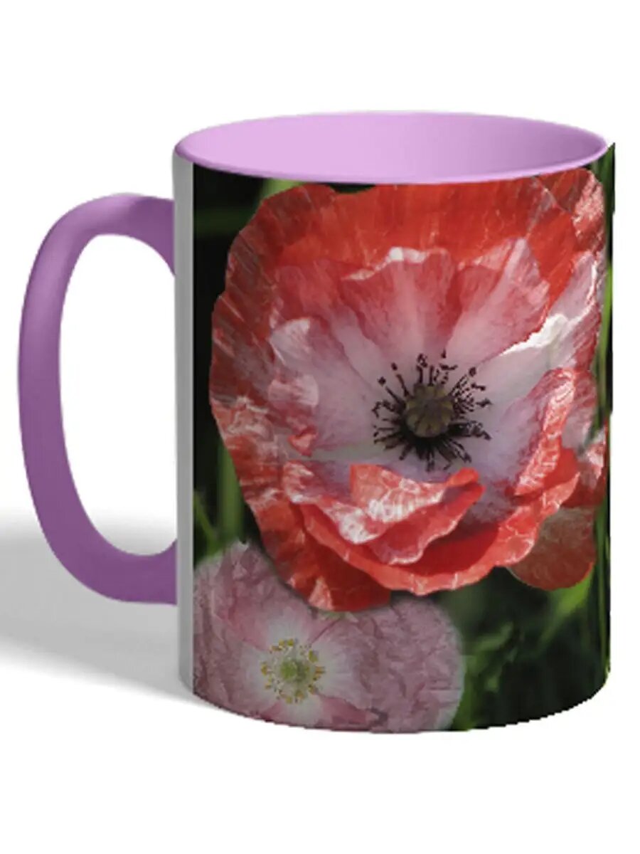 Кружка керамическая с принтом Маки, подарочная, объем 330 мл