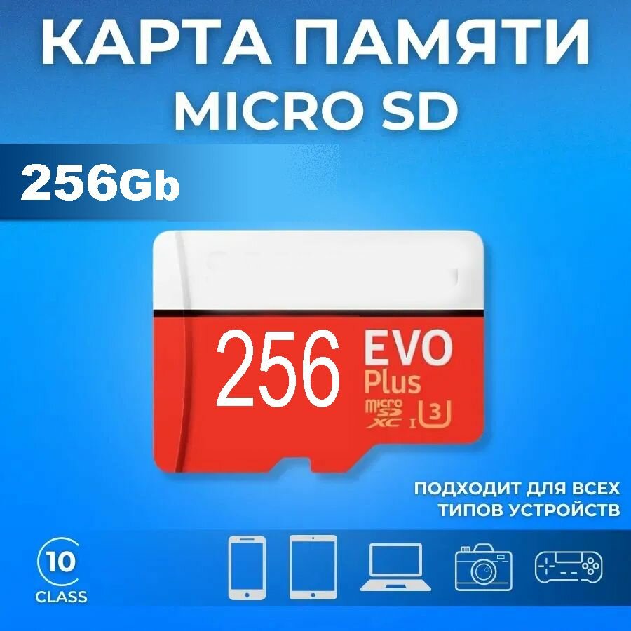 Карта памяти Micro SD EVO Plus 256 ГБ class 10 (MB-MC512HA/RU).