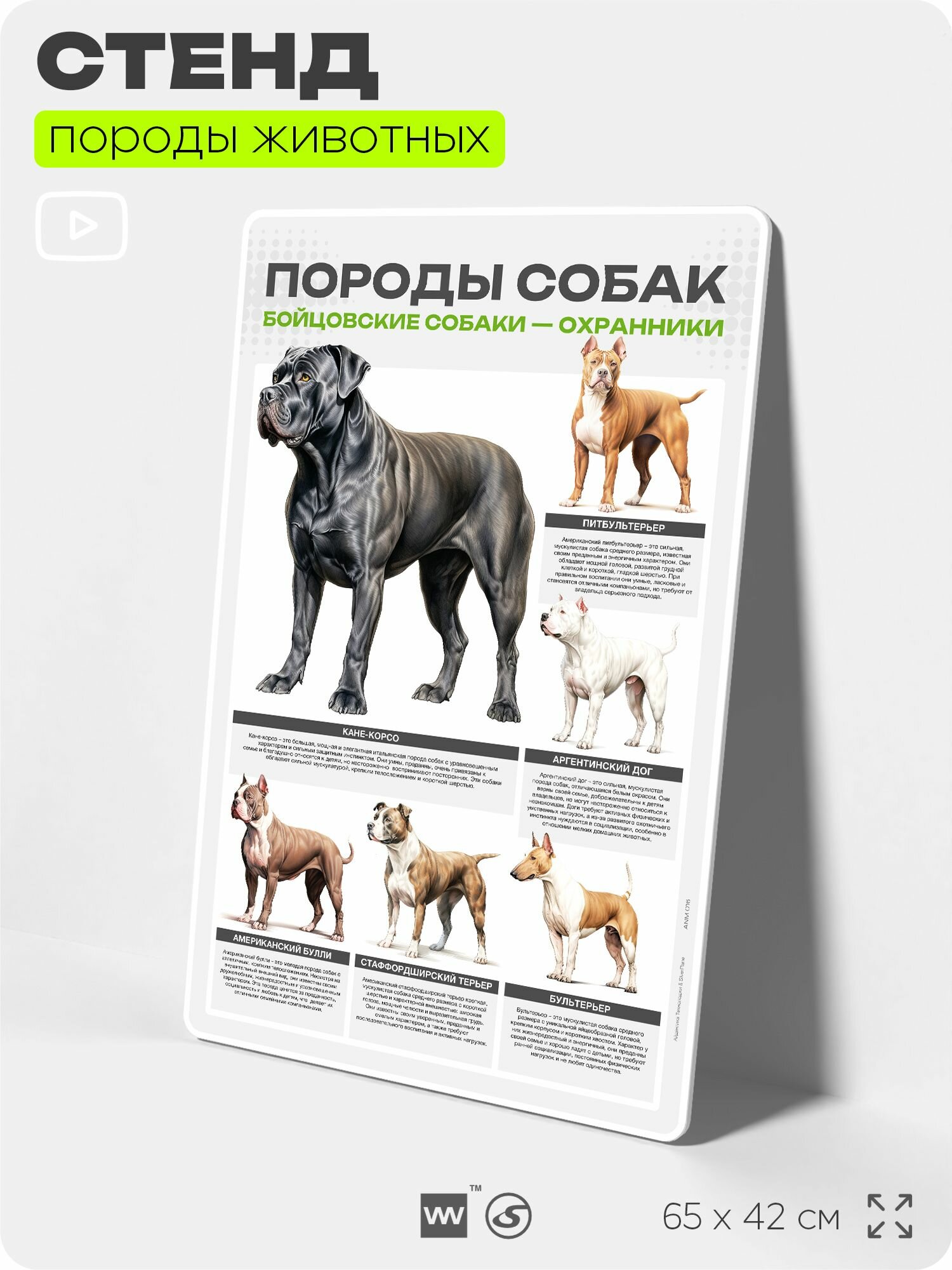 Стенд "Породы собак", плакат для груминг-салона, для ветклиники, 65х42 см, Silver Plane x Айдентика Технолоджи