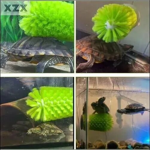 Зеленая щетка для чистки панциря черепах с присоской - отшелушивающий уход за спиной аквариумных черепах