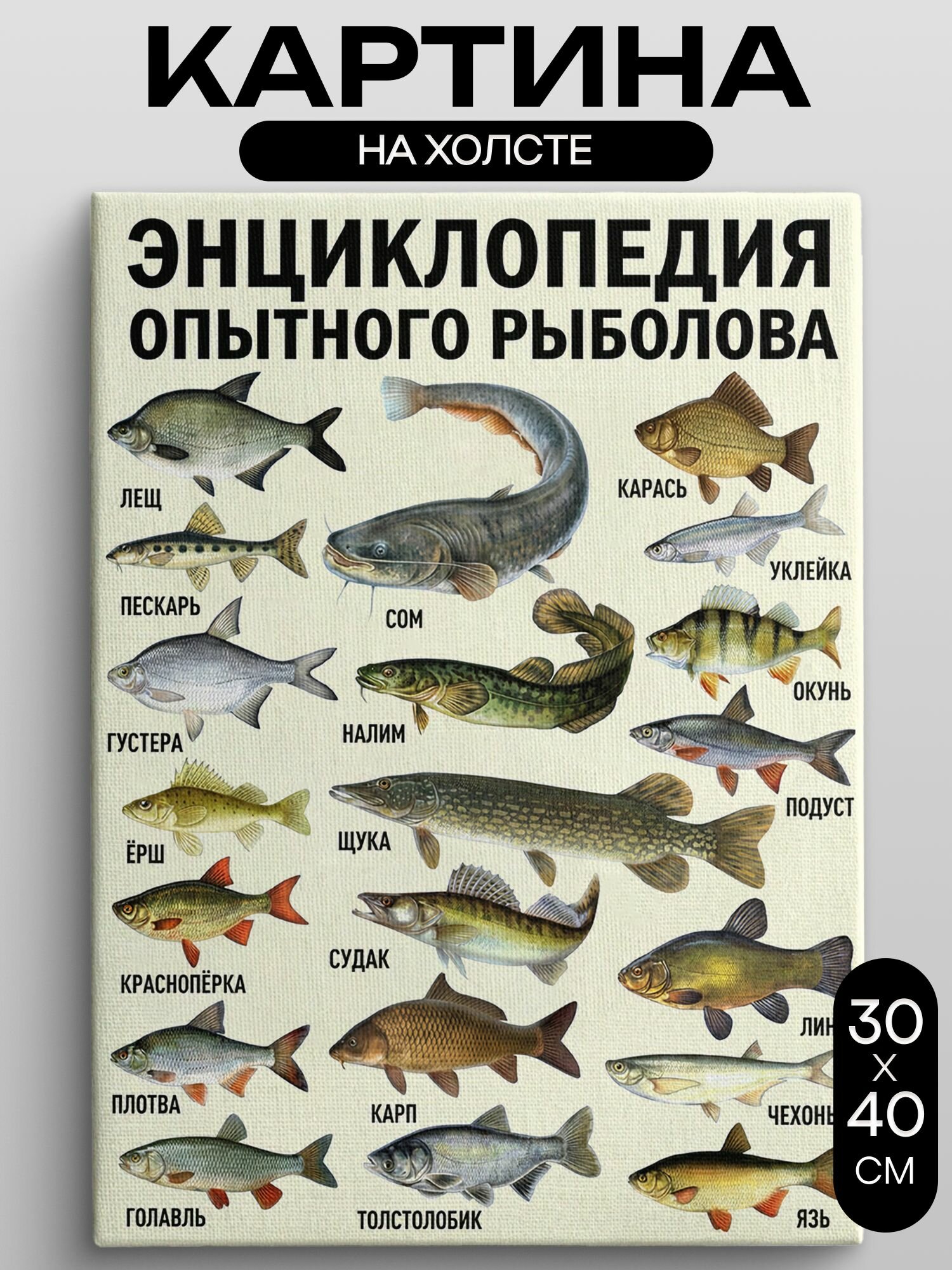 Картина на стену интерьерная Энциклопедия рыболова