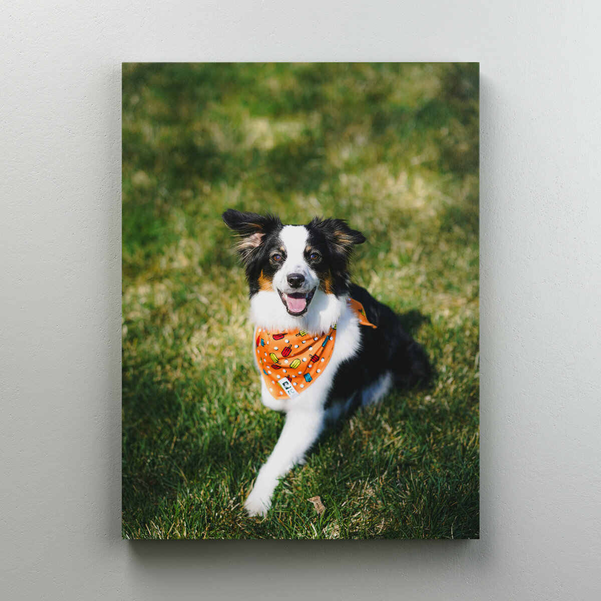 Интерьерная картина на холсте "Собака Бордер колли" собаки, размер 22x30 см