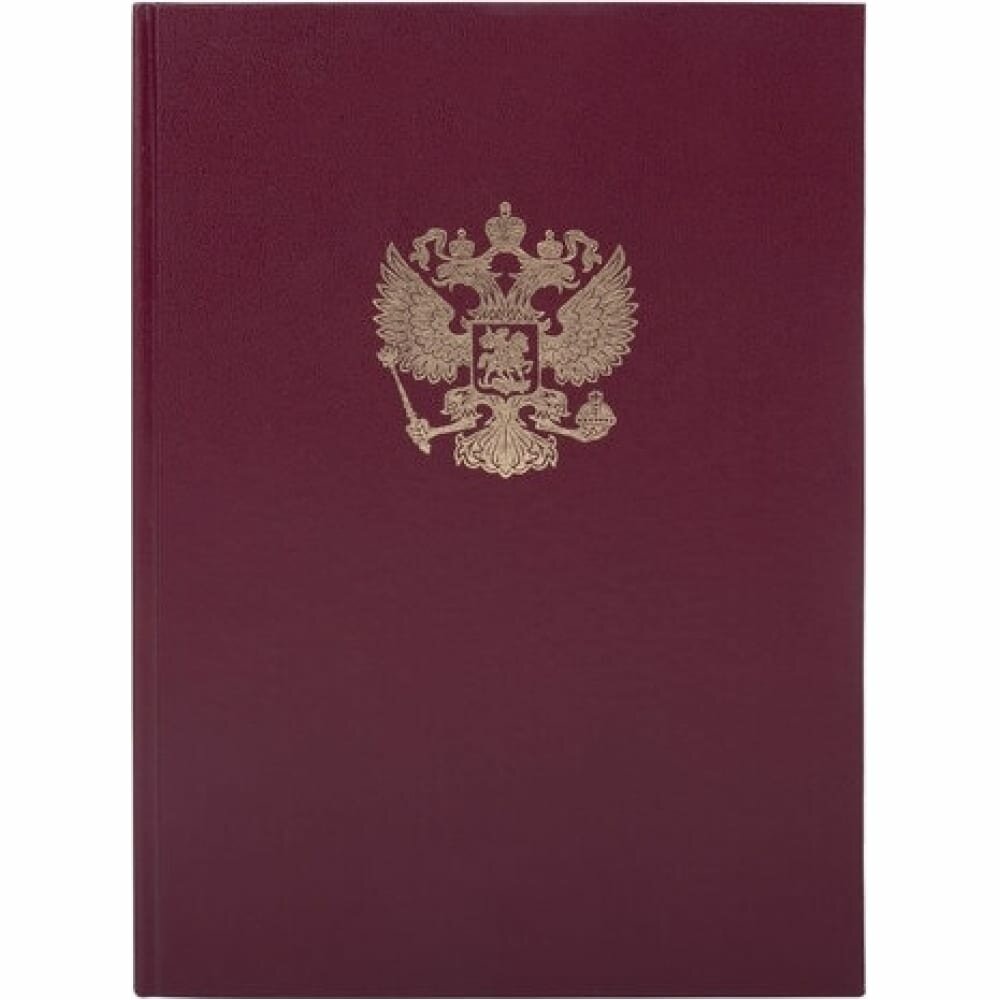 Книга учета BRAUBERG 130276