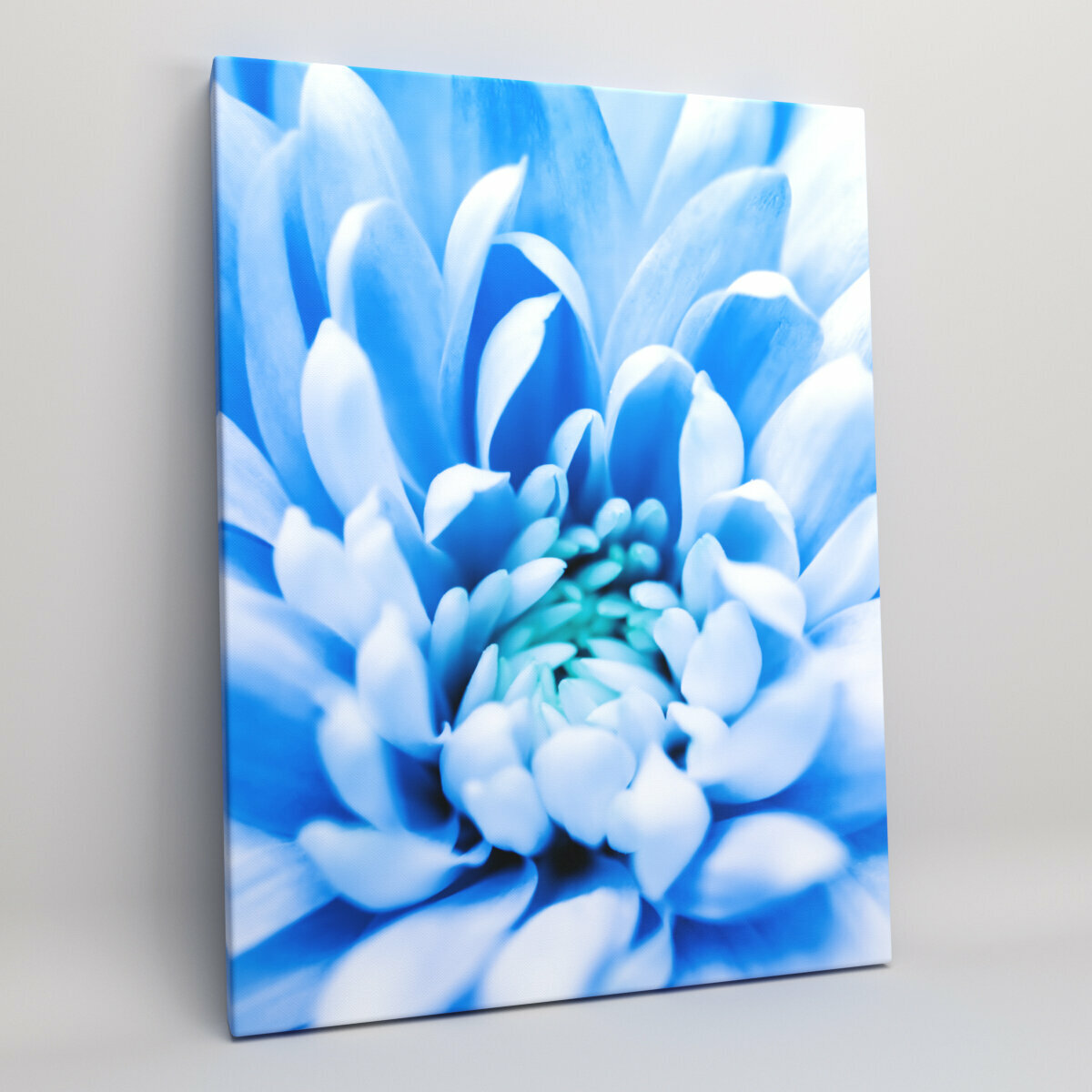 Картина на холсте (интерьерный постер) "Голубая хризантема", с деревянным подрамником, размер 45x60 см