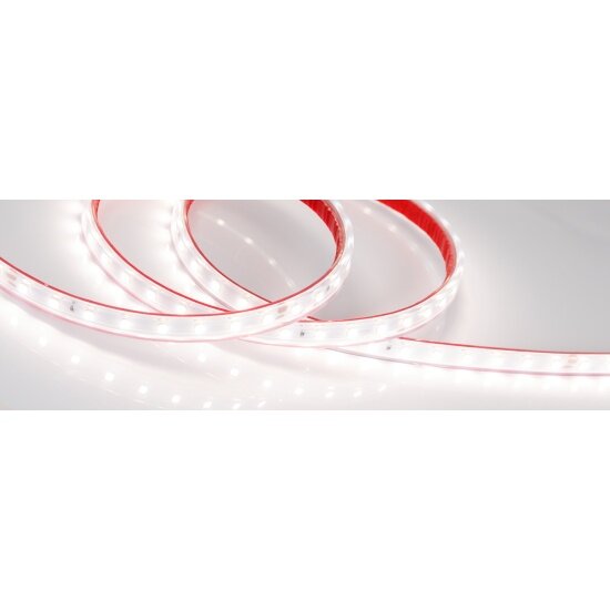 Светодиодная лента Arlight 6W/m 80LED/m 2835SMD дневной белый 5M 0245172 (Упаковка 5 метров)