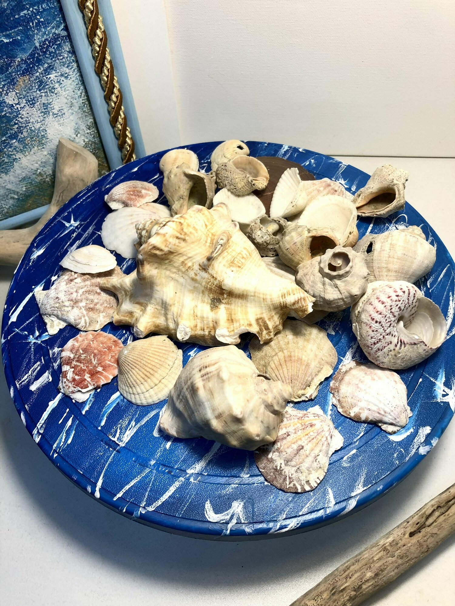 Ракушки морские и океанские средние со сколом 5-12 см, 500 гр./Декор для аквариума/ракушки для декорирования/