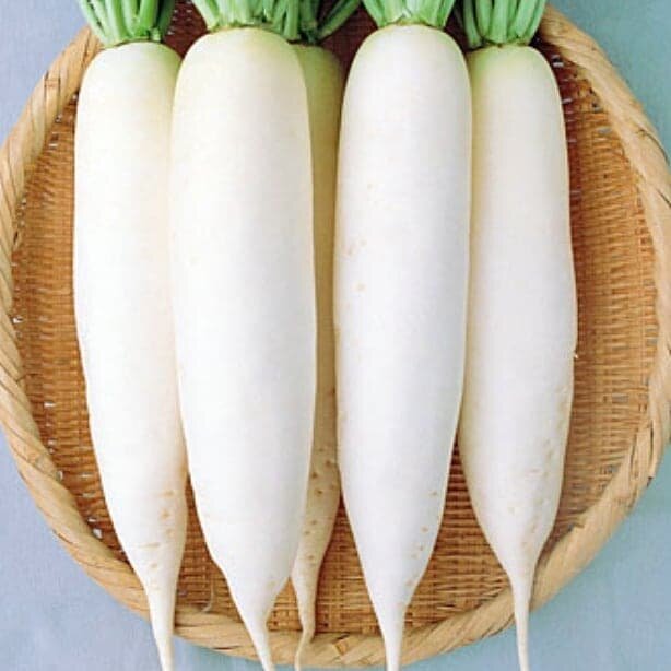 Дайкон Миноваси (1 гр.), Гавриш, Россия