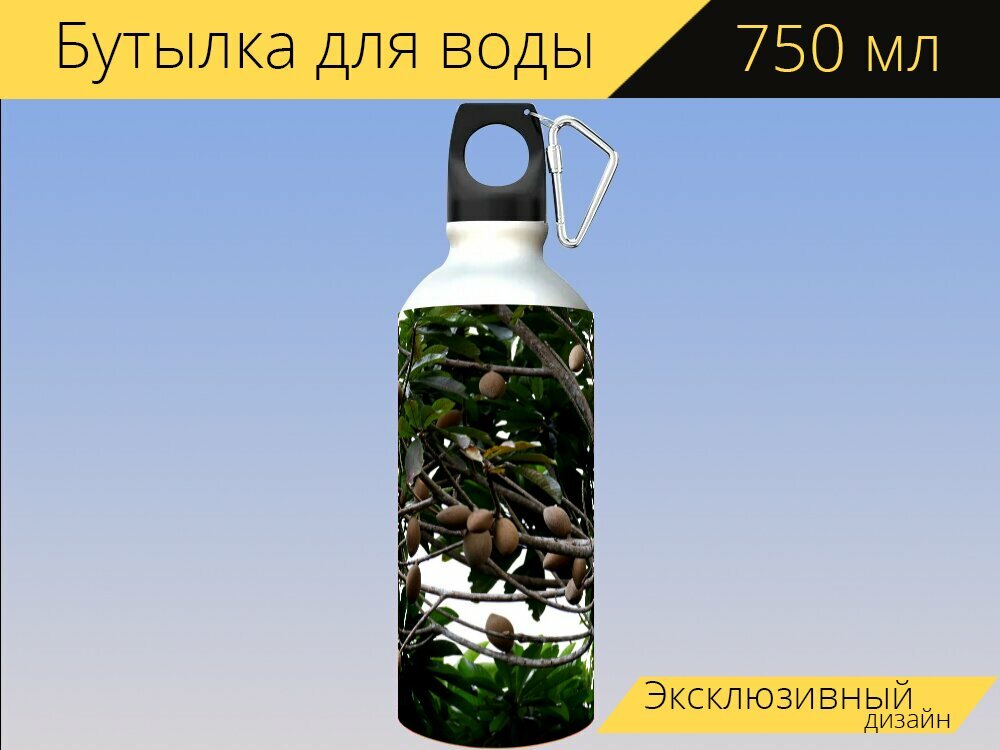 Бутылка фляга для воды "Мамей, фрукты, куба" 750 мл. с карабином и принтом