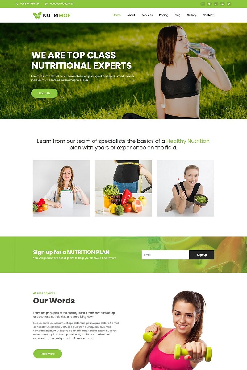 Подарочный сертификат на Шаблон для сайта Вордпресс с демоконтентом Nutrimof - Nutritional & Health Theme WordPress