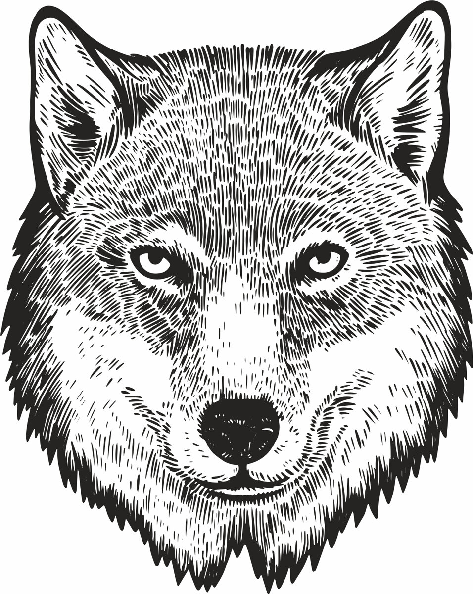 Gamma термотрансфер M №05, волк 10×12.5 см, M-523 для нанесения на ткань, 1 шт