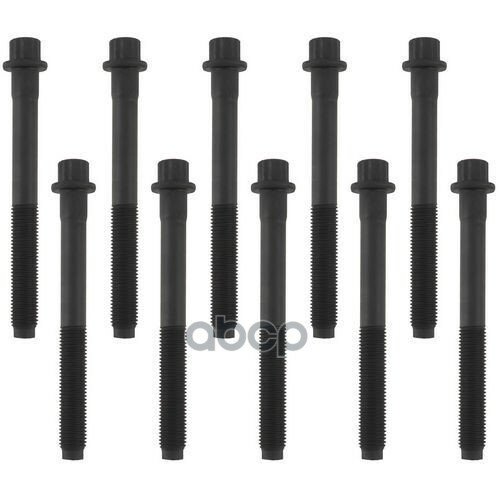 Комплект болтов головки блока цилиндров Zikmar арт. Z16534R