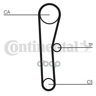 Ремень ГРМ Continental арт. CT536 - высокое качество товара по низкой цене