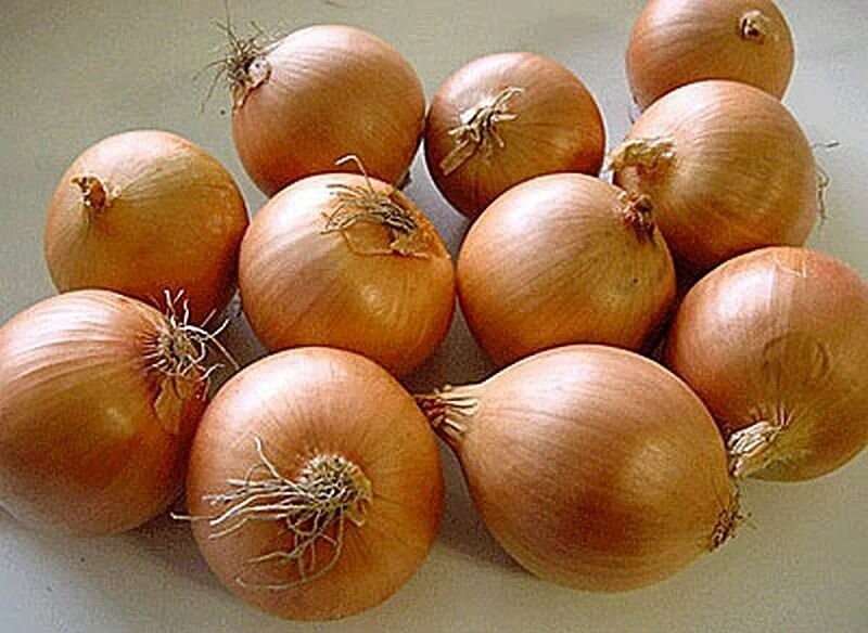Коллекционные семена лука репчатый Эффект