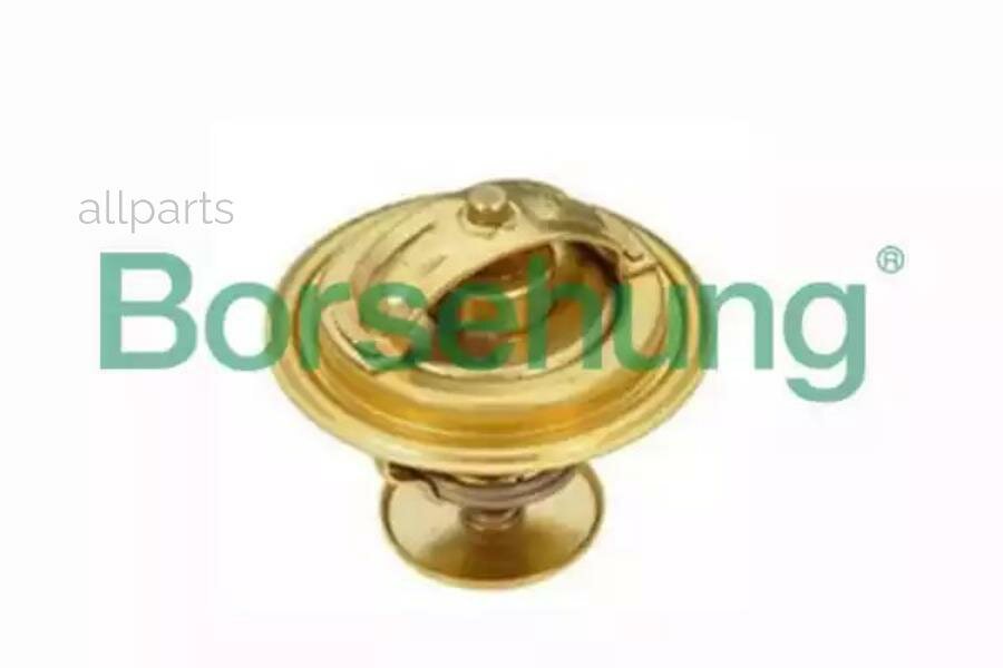 BORSEHUNG B18262 Термостат с прокл.
