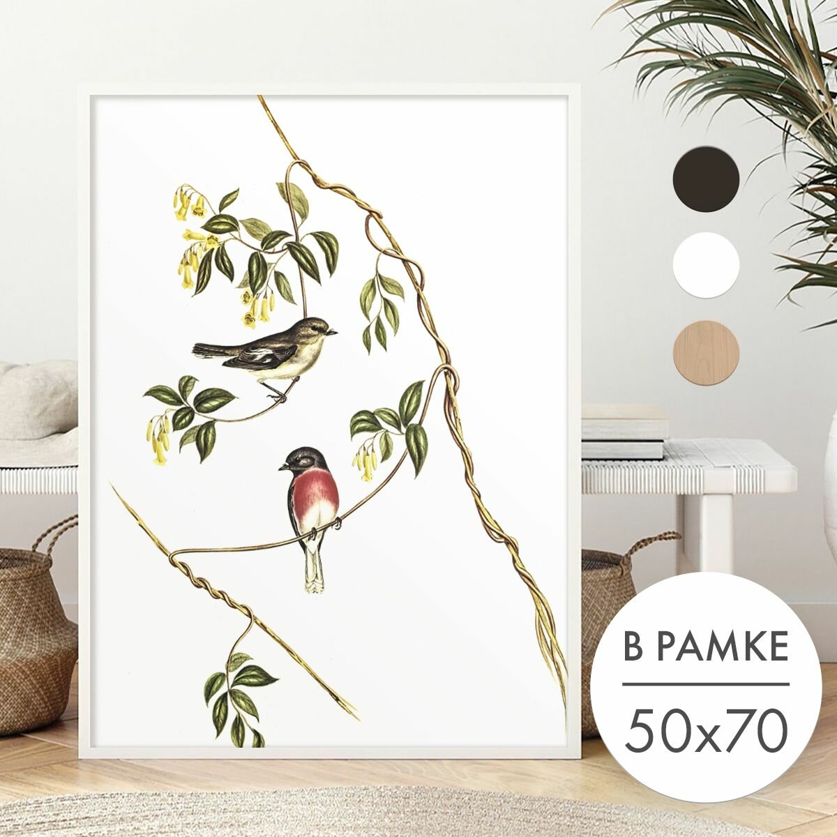 Постер 50х70 В рамке "Птицы на ветке винтаж" для интерьера