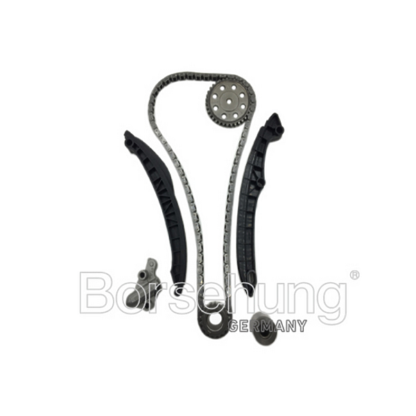 BORSEHUNG B16299 рем. к-кт цепи грм\ Skoda (Шкода) fabia, VW Polo (Поло) 1.2 07-14