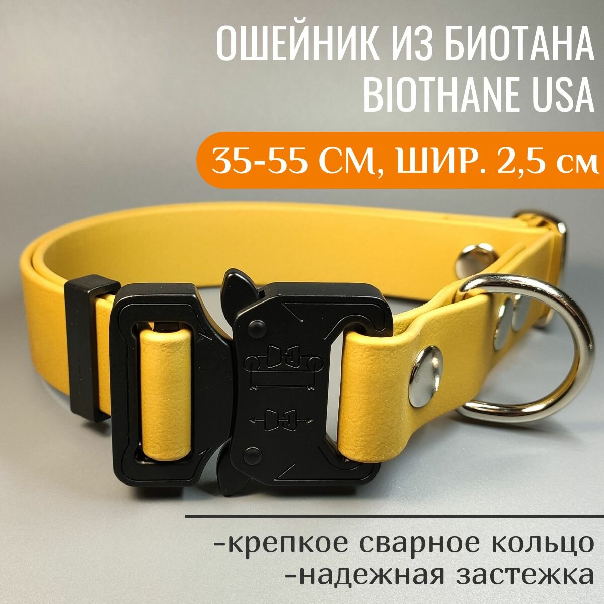 R-Dog Ошейник из биотана (Biothane USA), металлическая пряжка "Кобра", цвет золотой, длина 35-55 см, ширина 2,5 см