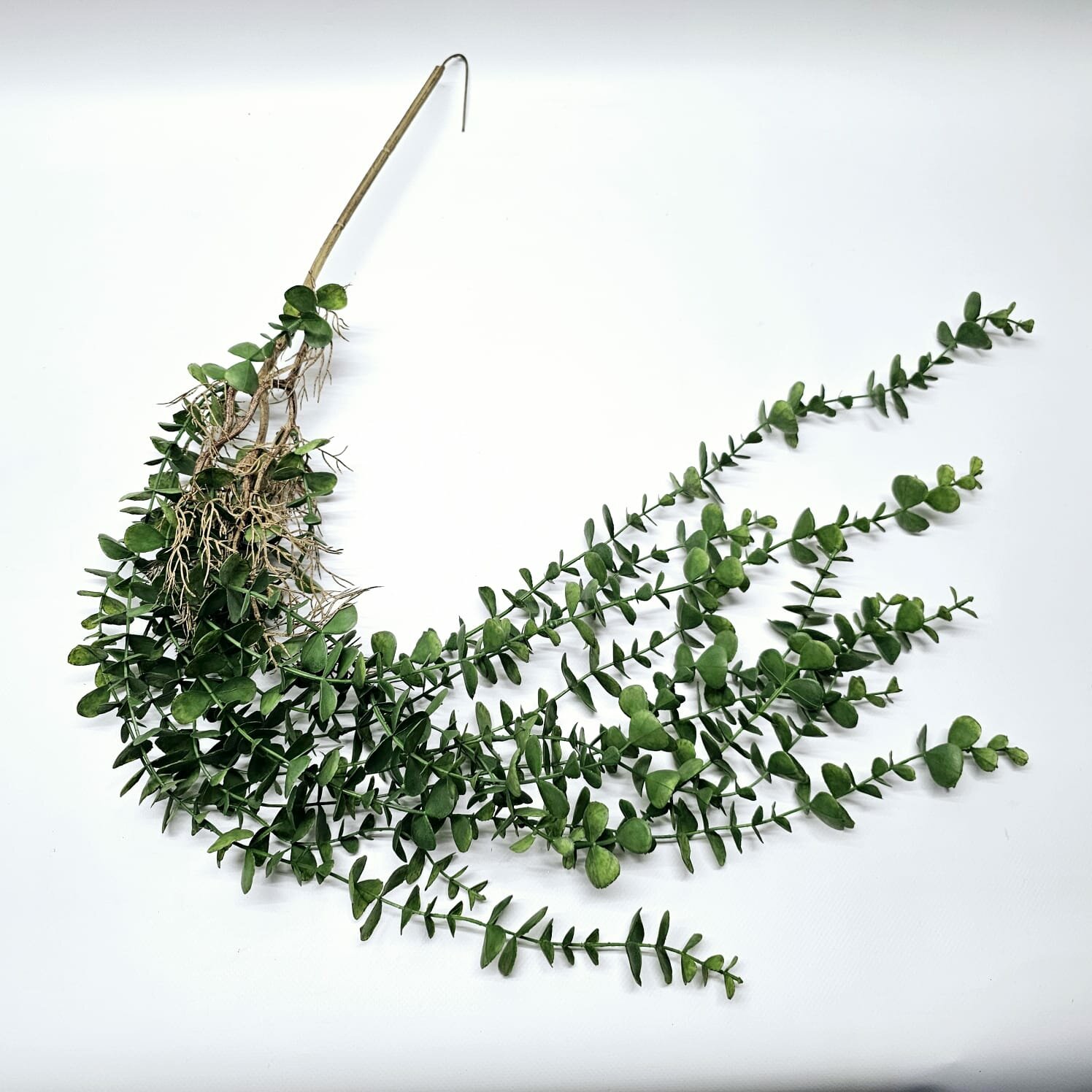 Искусственное растение NOVAMARK TERRA Эвкалипт зелёный, 70 см