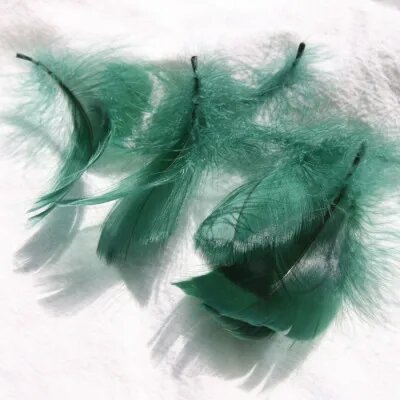Натуральные гусиные и лебединые перья, 4-8 см, 100 шт. Изумрудный, Dark Green 100pcs