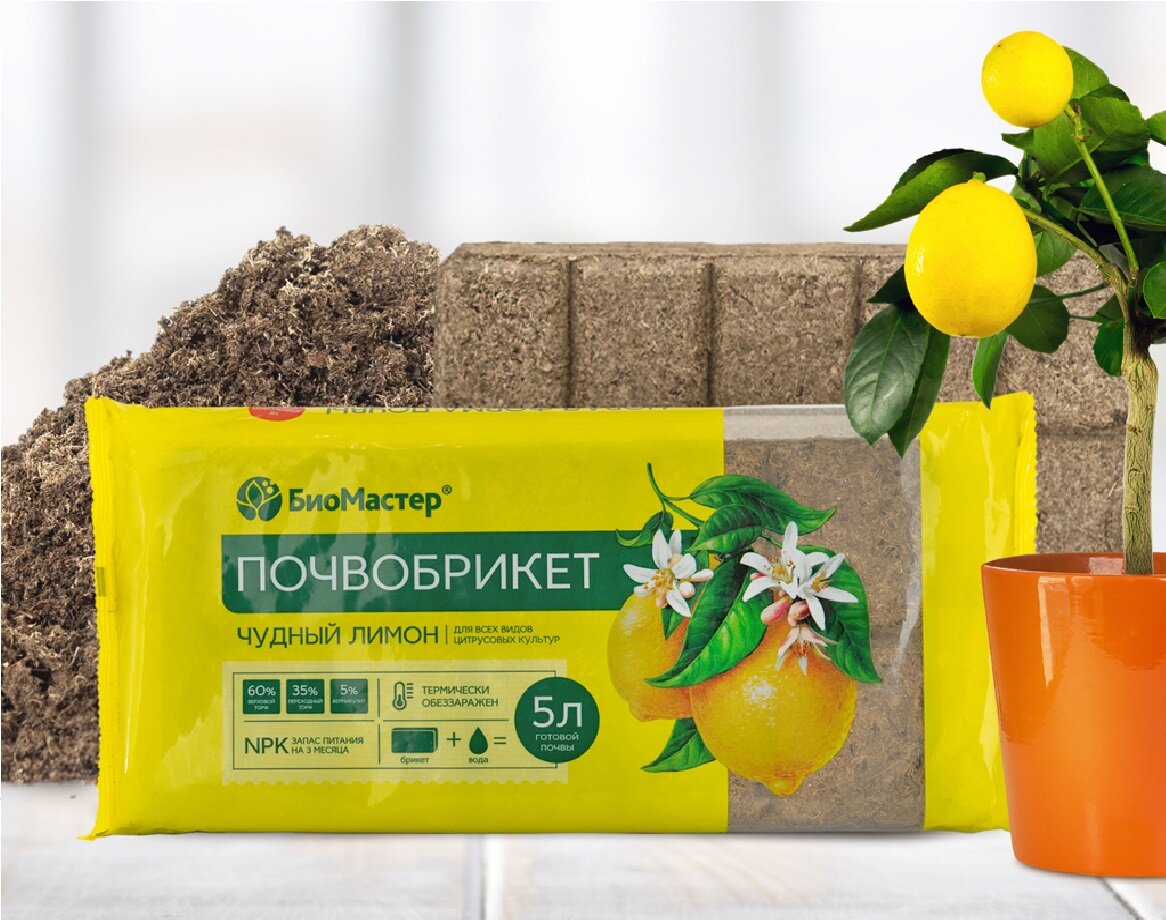 Грунт для лимона, граната. Жасмина почвобрикет 5 литров почвобрикет