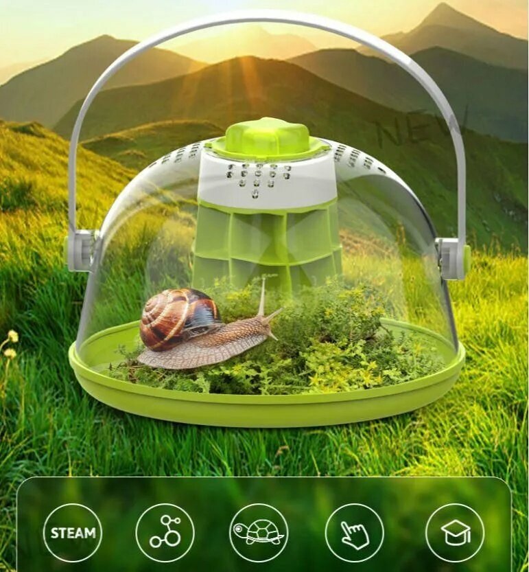 Террариум для улиток, террариум для улиток ахатин