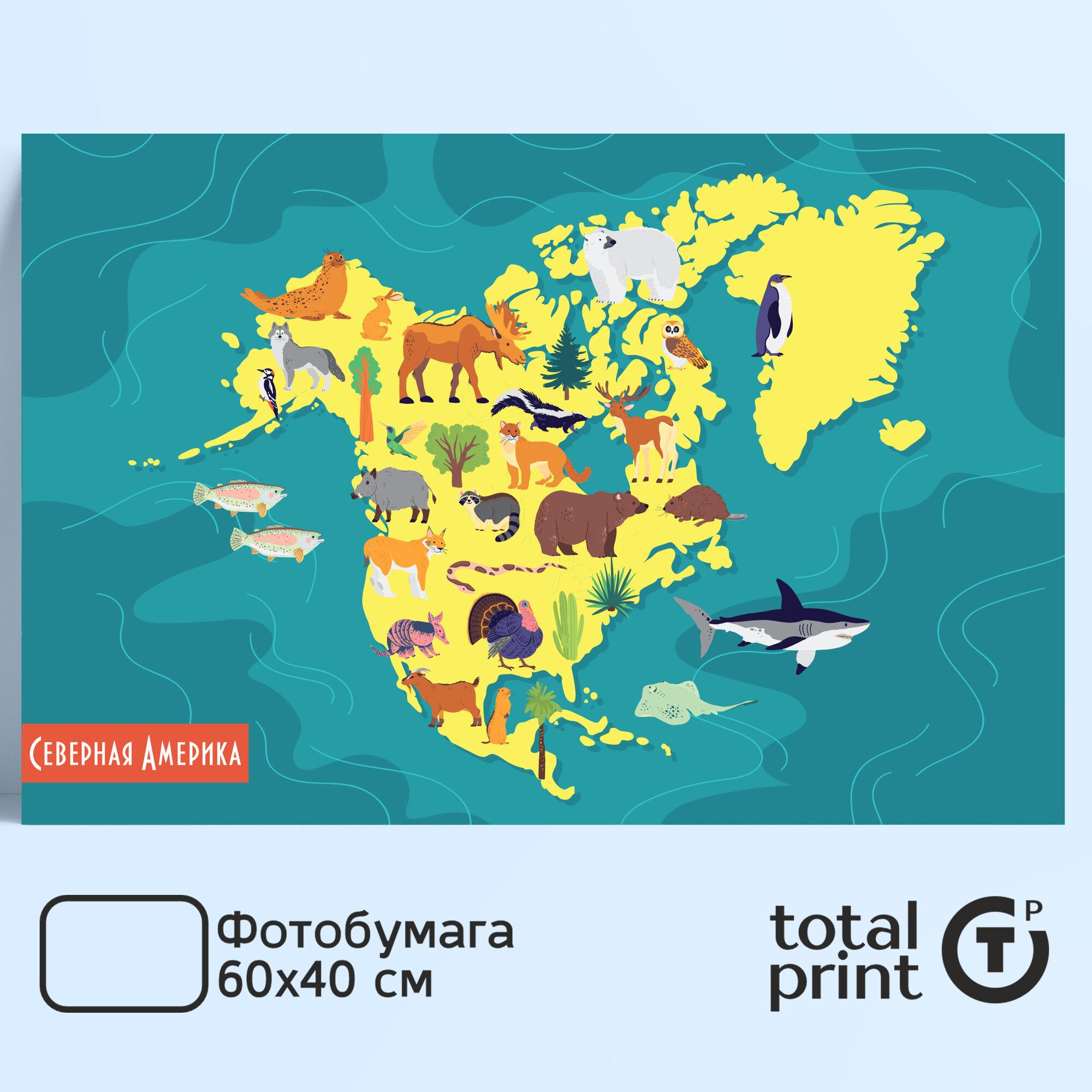 Постер на стену Карта животного мира, Северная Америка, 60х40см, TotalPrint