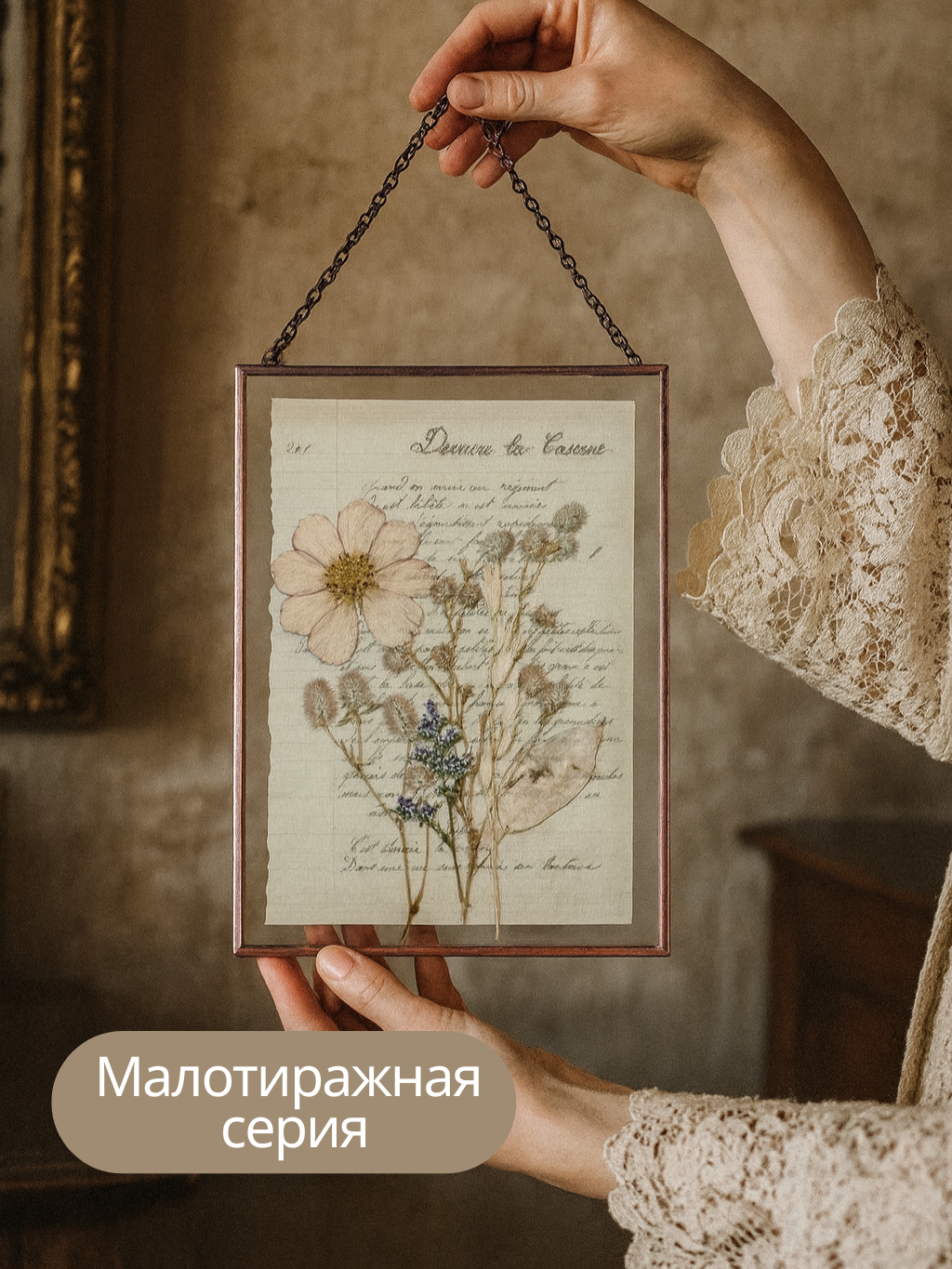 Панно с сухоцветами и старинным письмом винтажный гербарий в стекле, декор в стиле ботаника