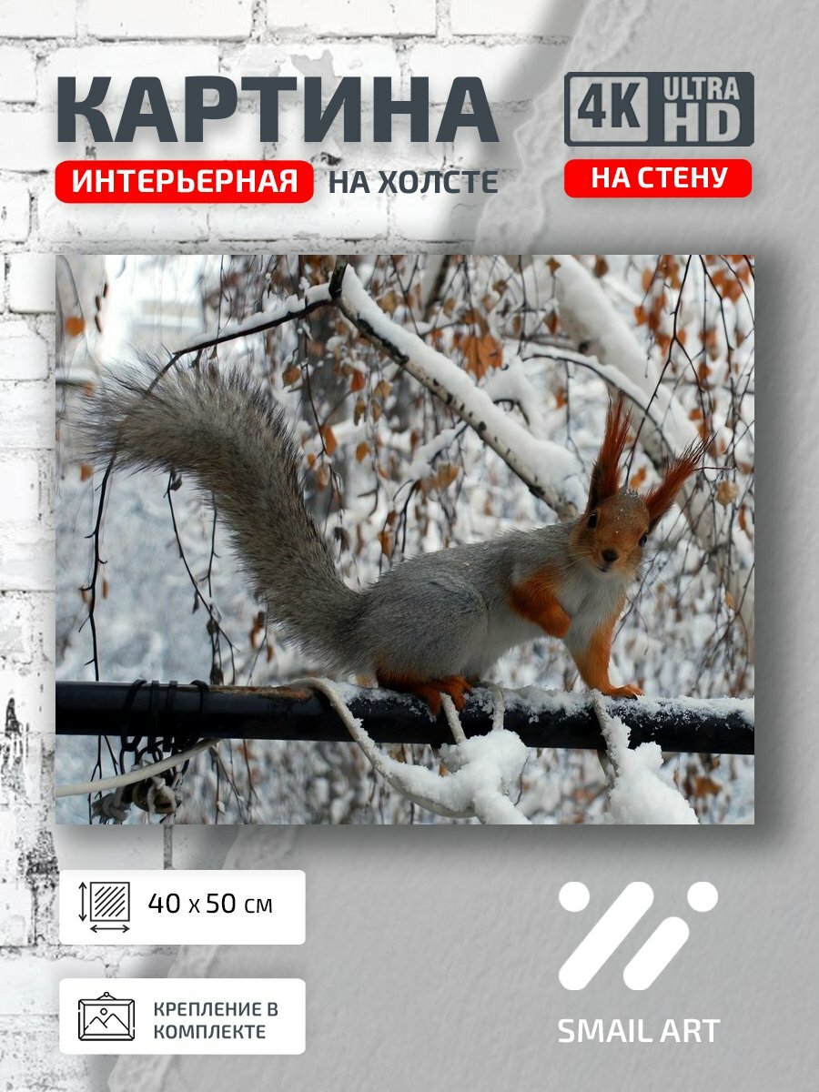 Картина на холсте интерьерная 40 на 50 на стену Суку Mood для гостиной атмосфера интерьер