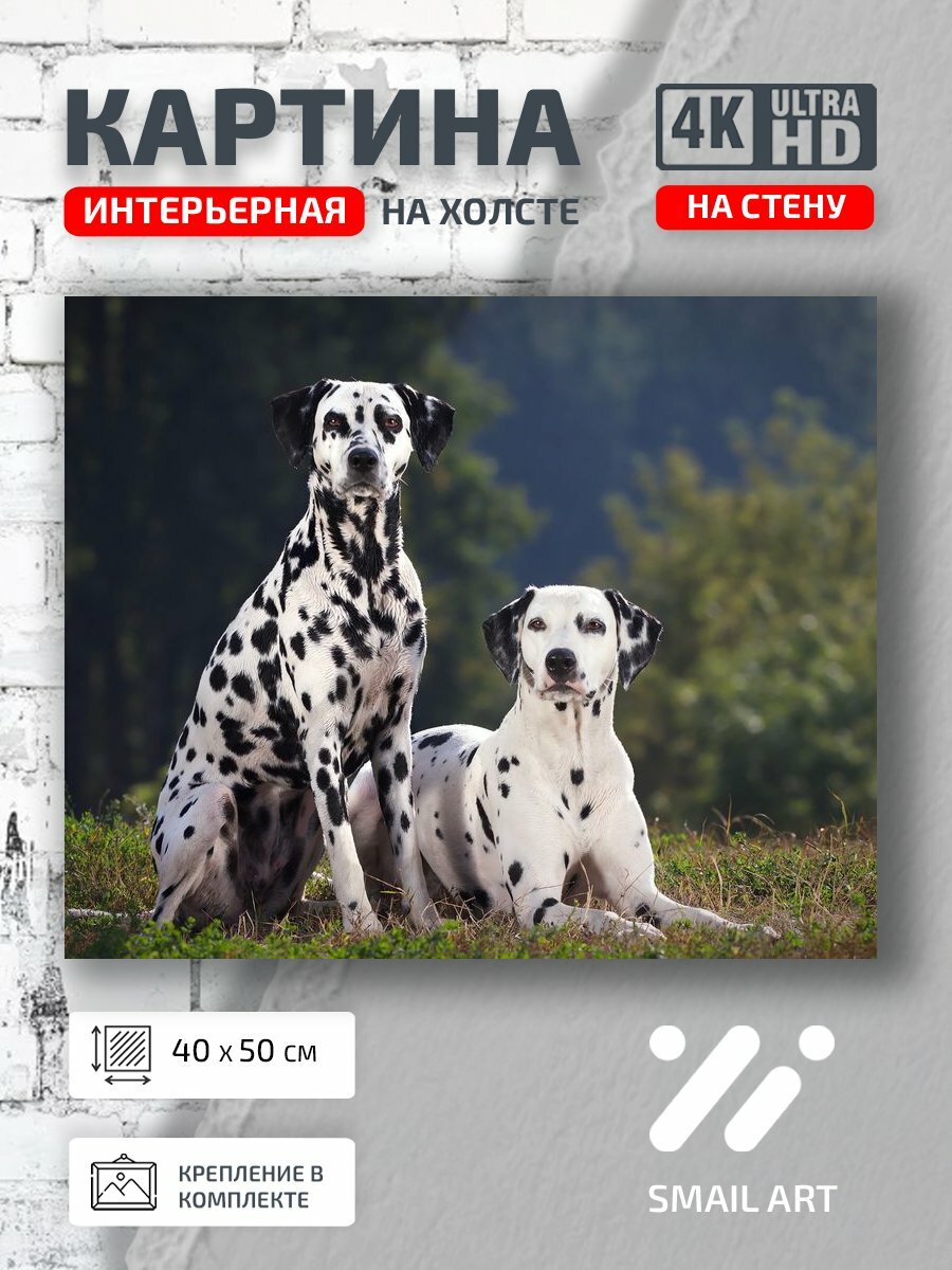 Картина на холсте интерьерная 40 на 50 на стену Лес Landscape для кафе пейзаж интерьер