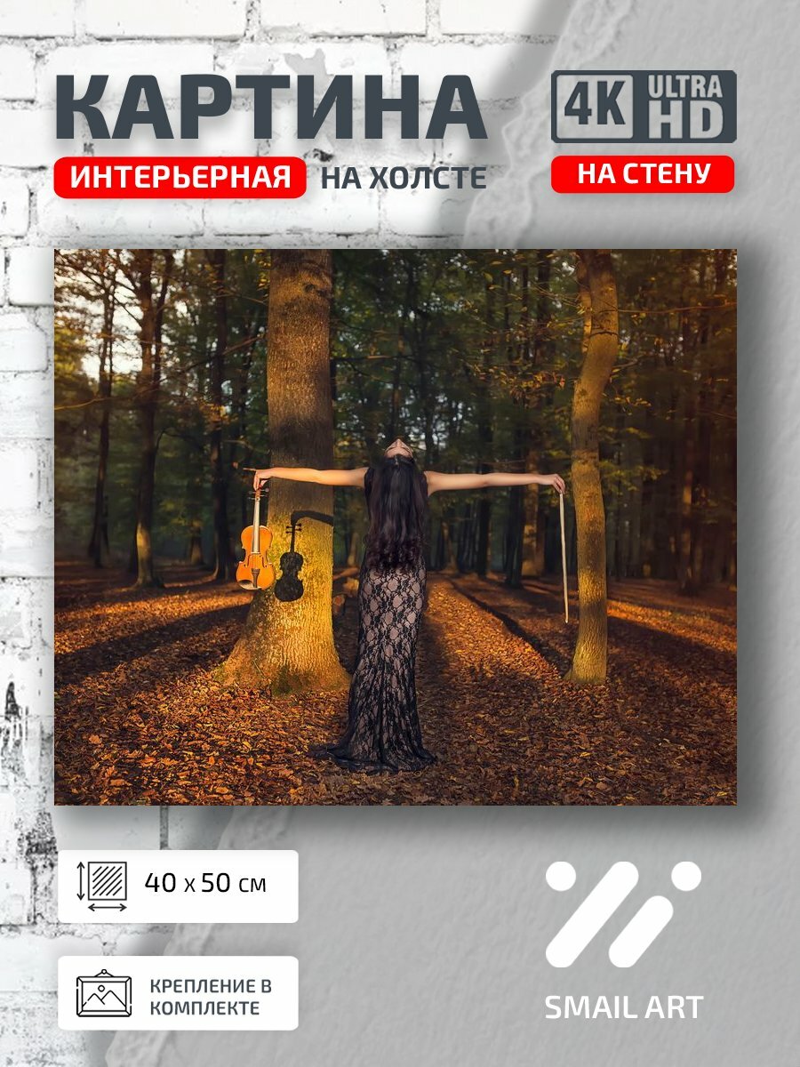 Картина на холсте интерьерная 40 на 50 на стену Скрипкой Portrait для кабинета портрет