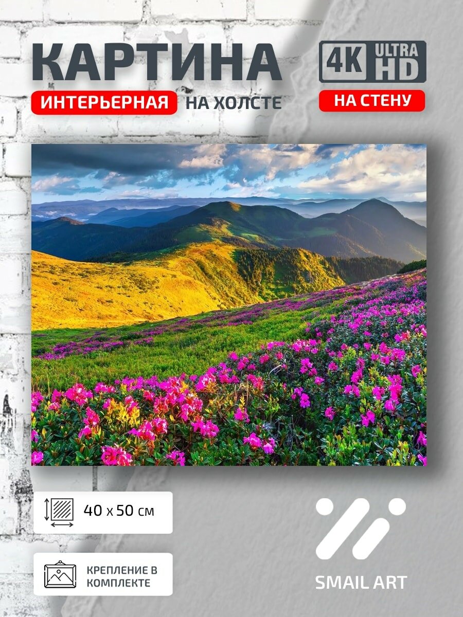 Картина на холсте интерьерная 40 на 50 на стену Цветы голме для гостиной атмосфера