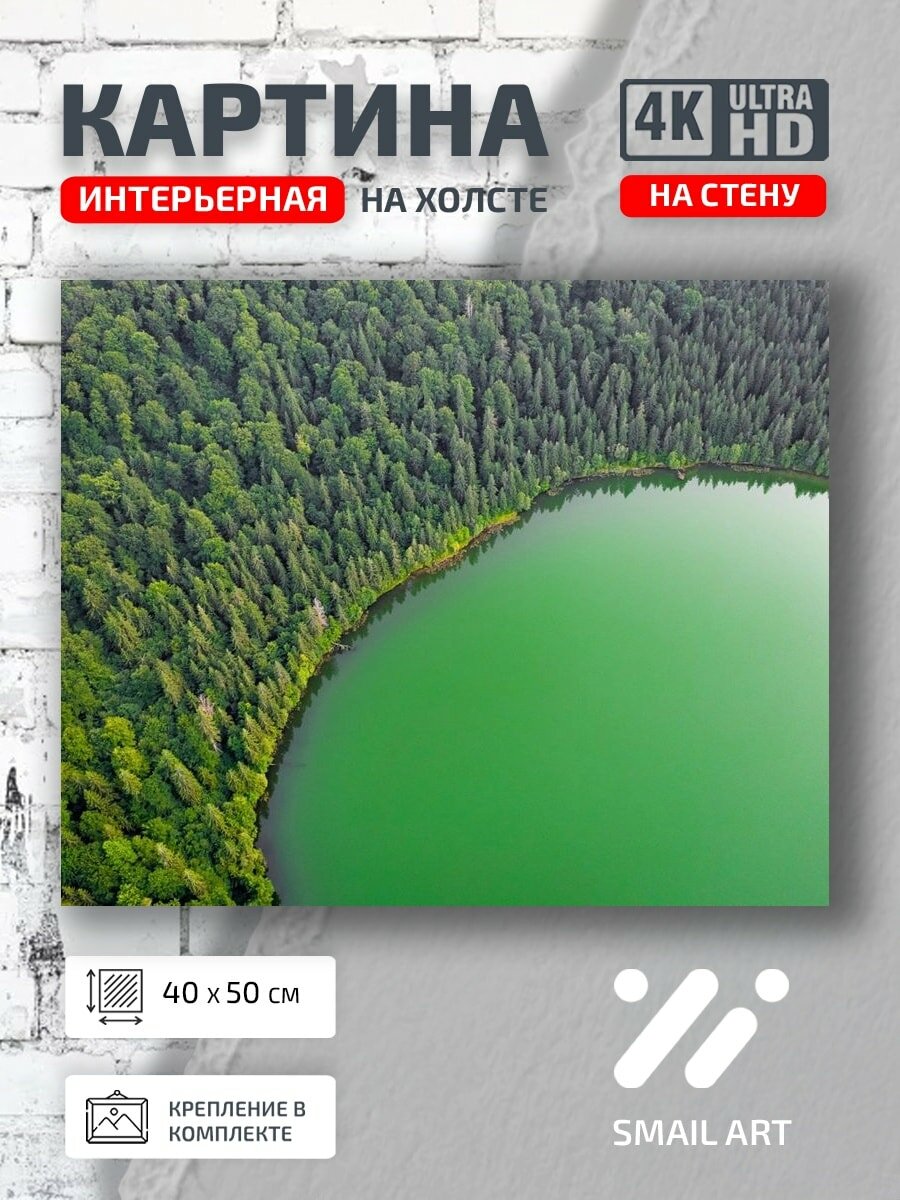 Картина на холсте интерьерная 40 на 50 на стену зелёные деревья для кафе пейзаж