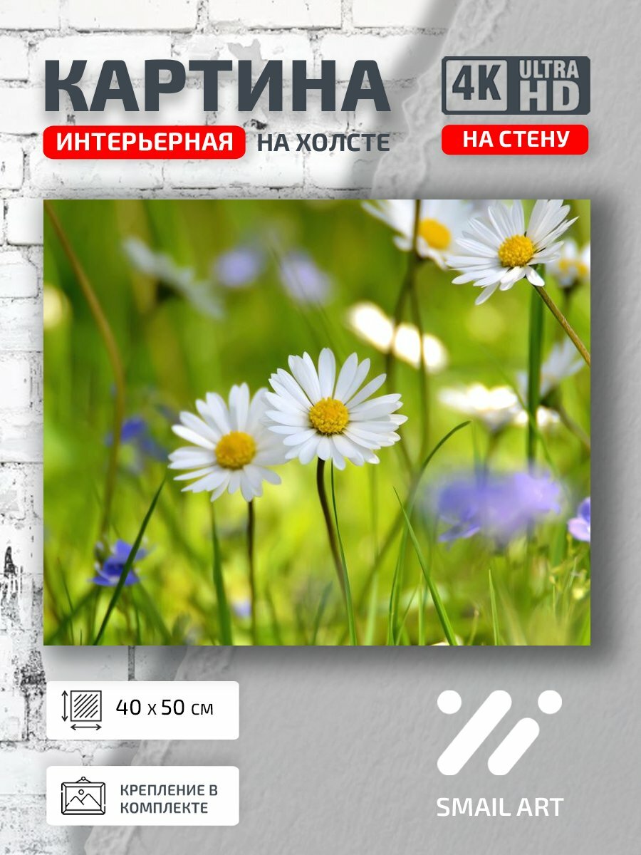 Картина на холсте интерьерная 40 на 50 на стену Полянка Mood для гостиной атмосфера декор
