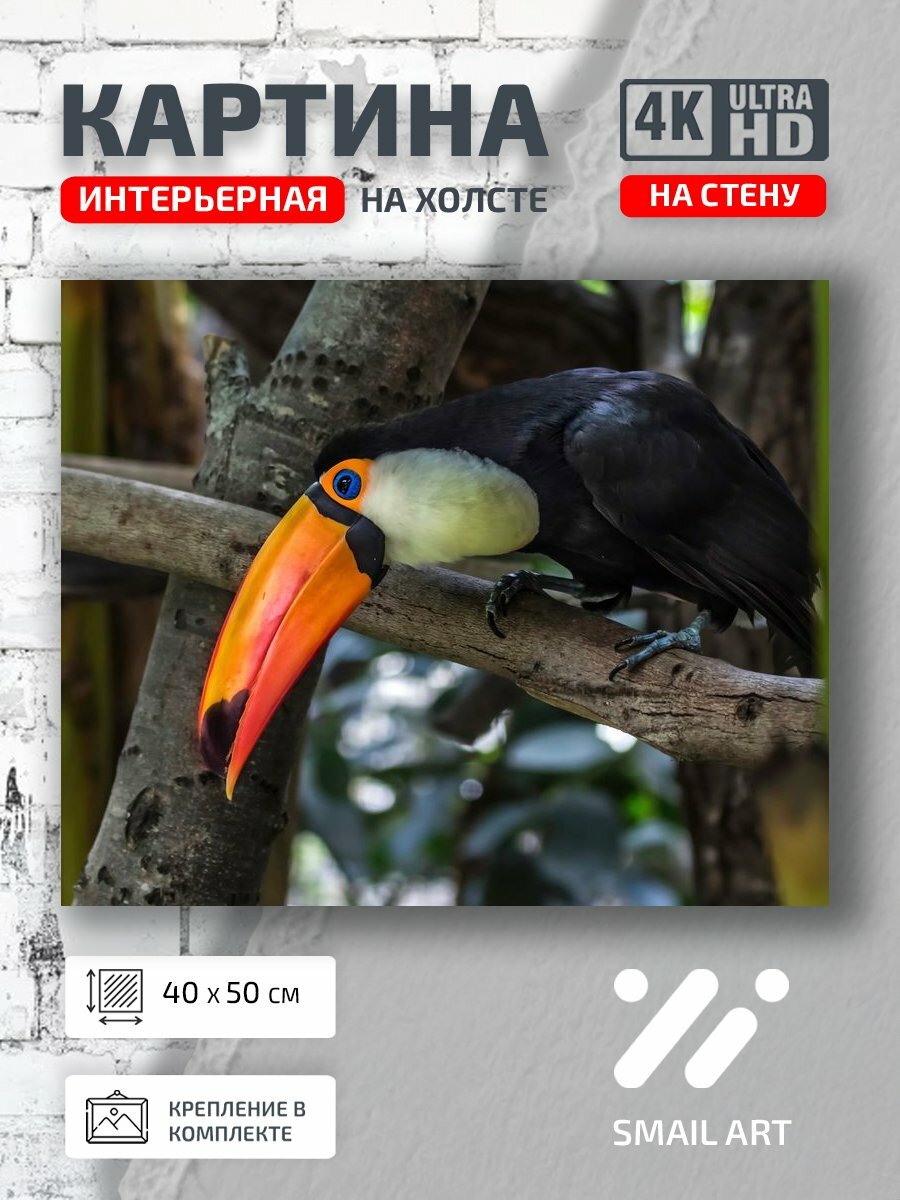 Картина на холсте интерьерная 40 на 50 на стену Ветке Animal для гостиной animal style