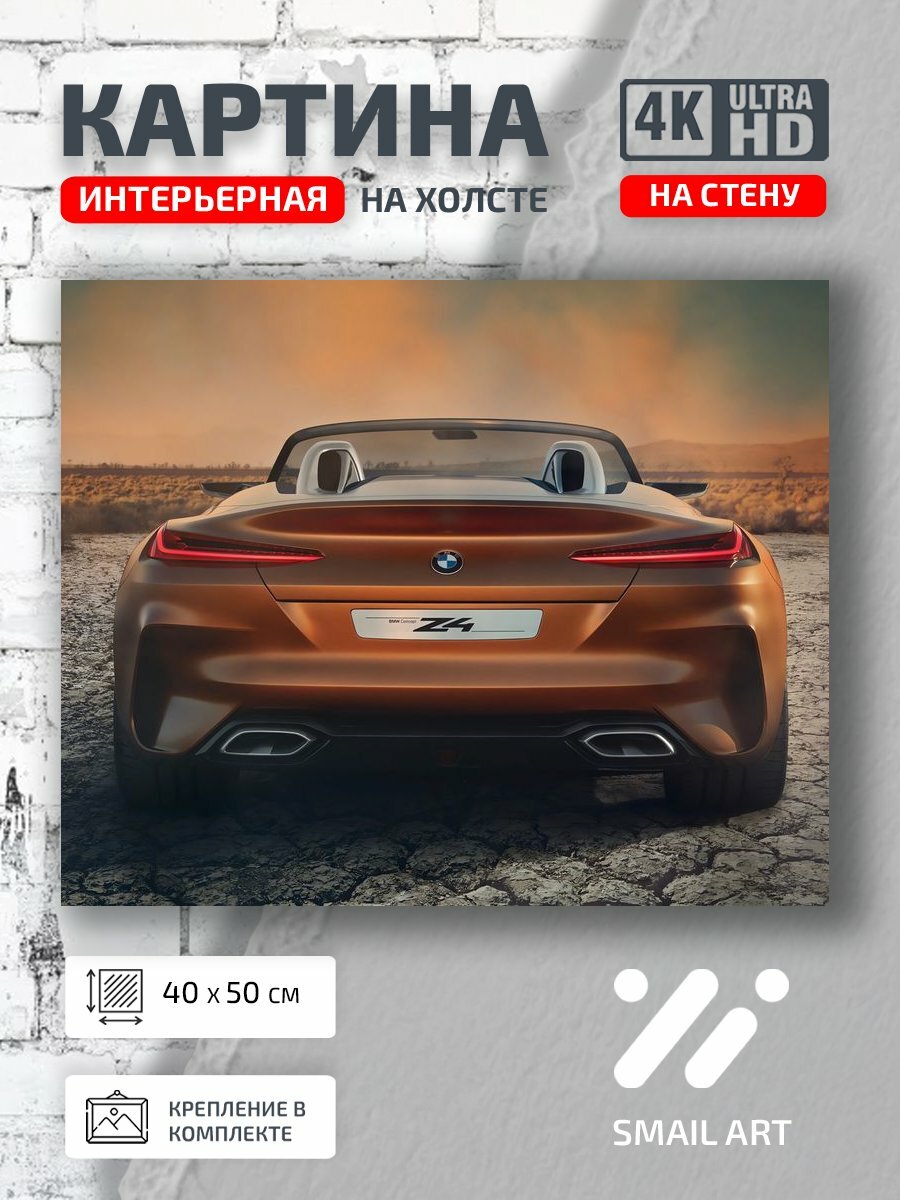 Картина на холсте интерьерная 40 на 50 на стену Сзади z4 для студии авто дизайн интерьер