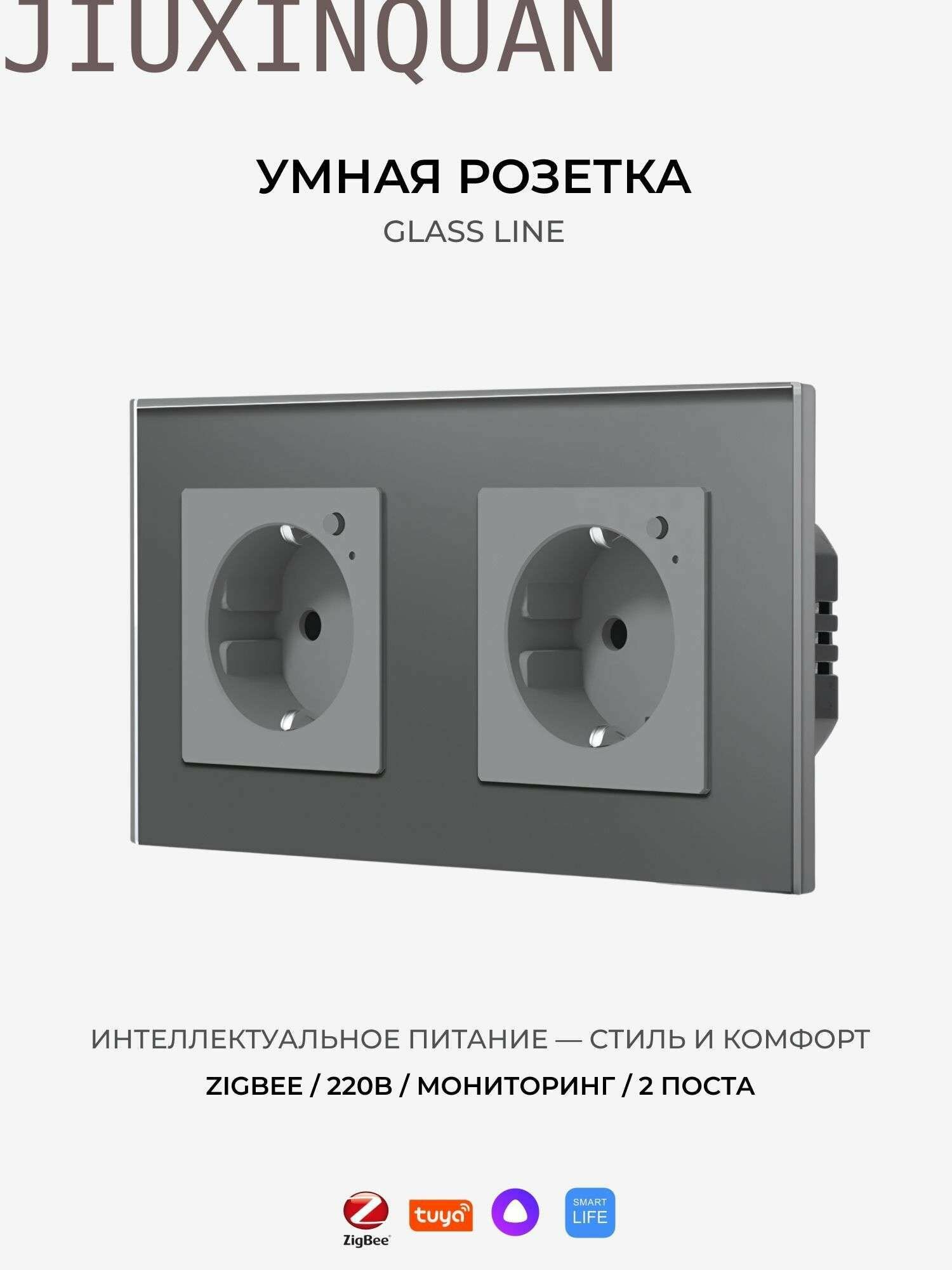 Умная розетка Zigbee встраиваемая, серая, 2 поста, с мониторингом