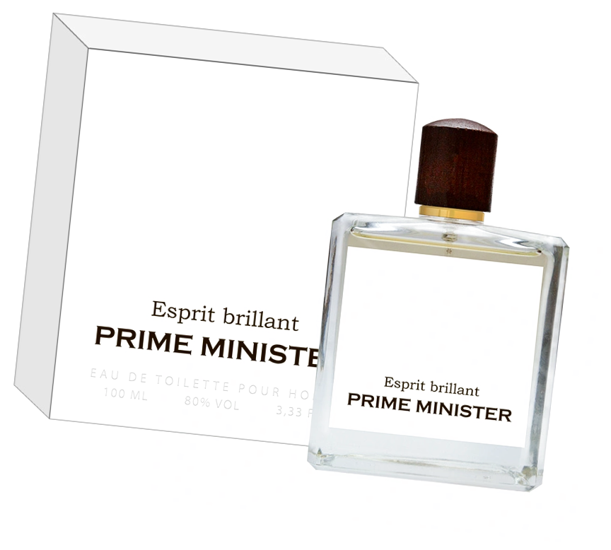 Туалетная вода мужская Эсприт Бриллиант 100 мл - Prime Minister Esprit Brillant