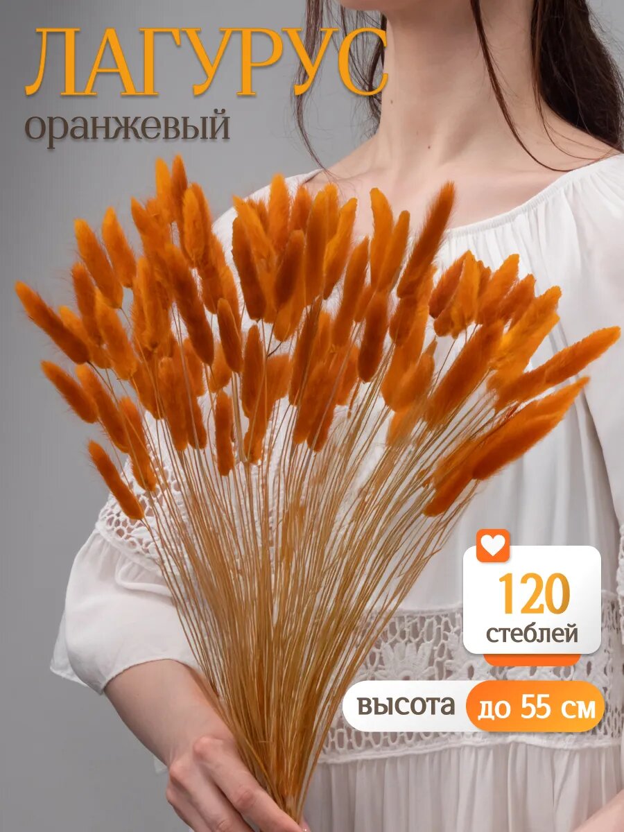 Лагурус оранжевый 120 шт, сухоцветы для декора