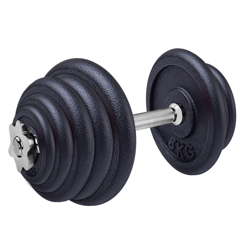 Гантель разборная чугунная 25 кг Voitto - d26, Комплектация №2 с железной ручкой