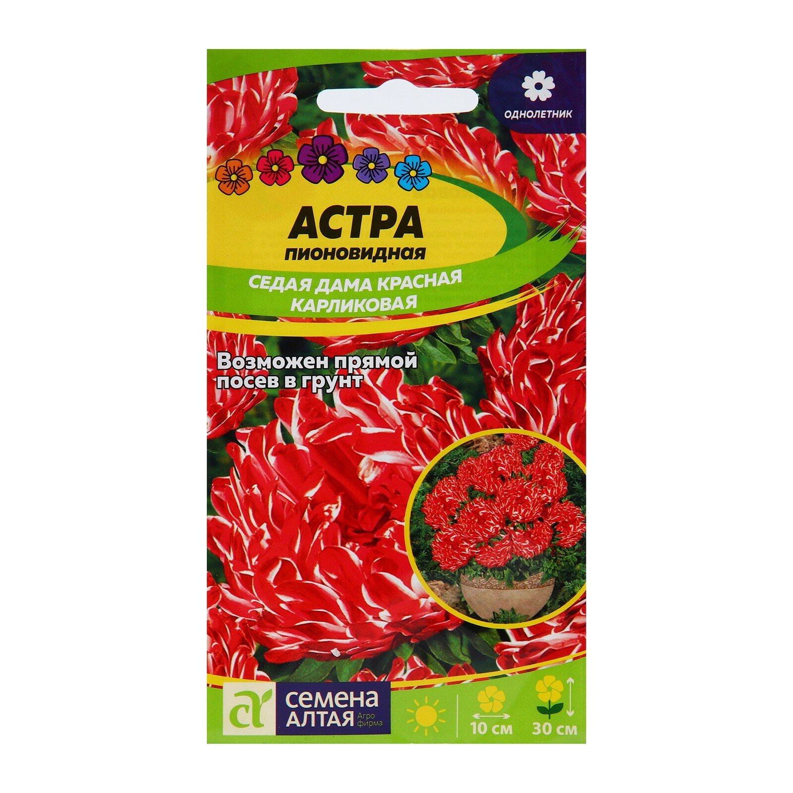 Семена цветов Астра «Седая Дама», красная, карликовая, 0.05 г, «Семена Алтая»