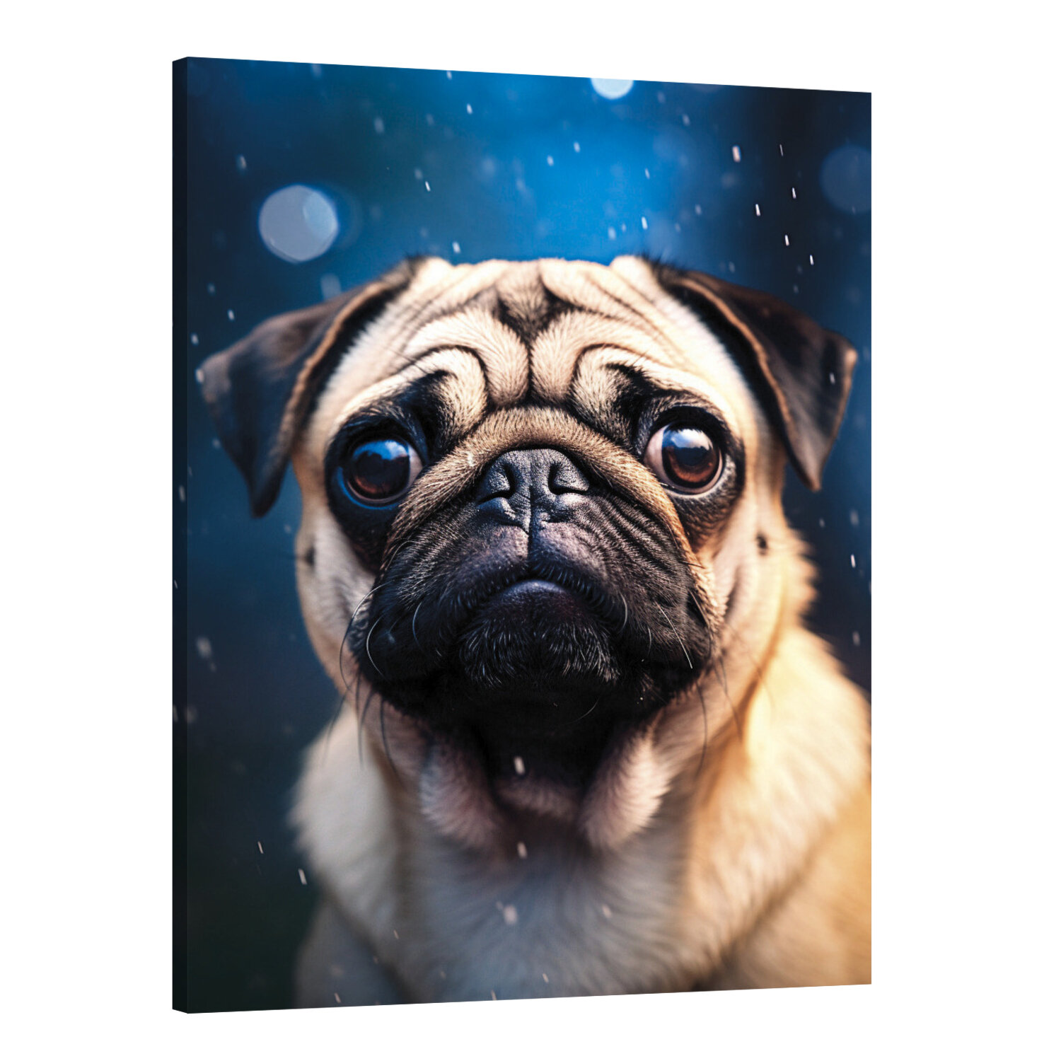 Интерьерная картина 50х70 "Мопс: Взгляд с Заднего Плана"