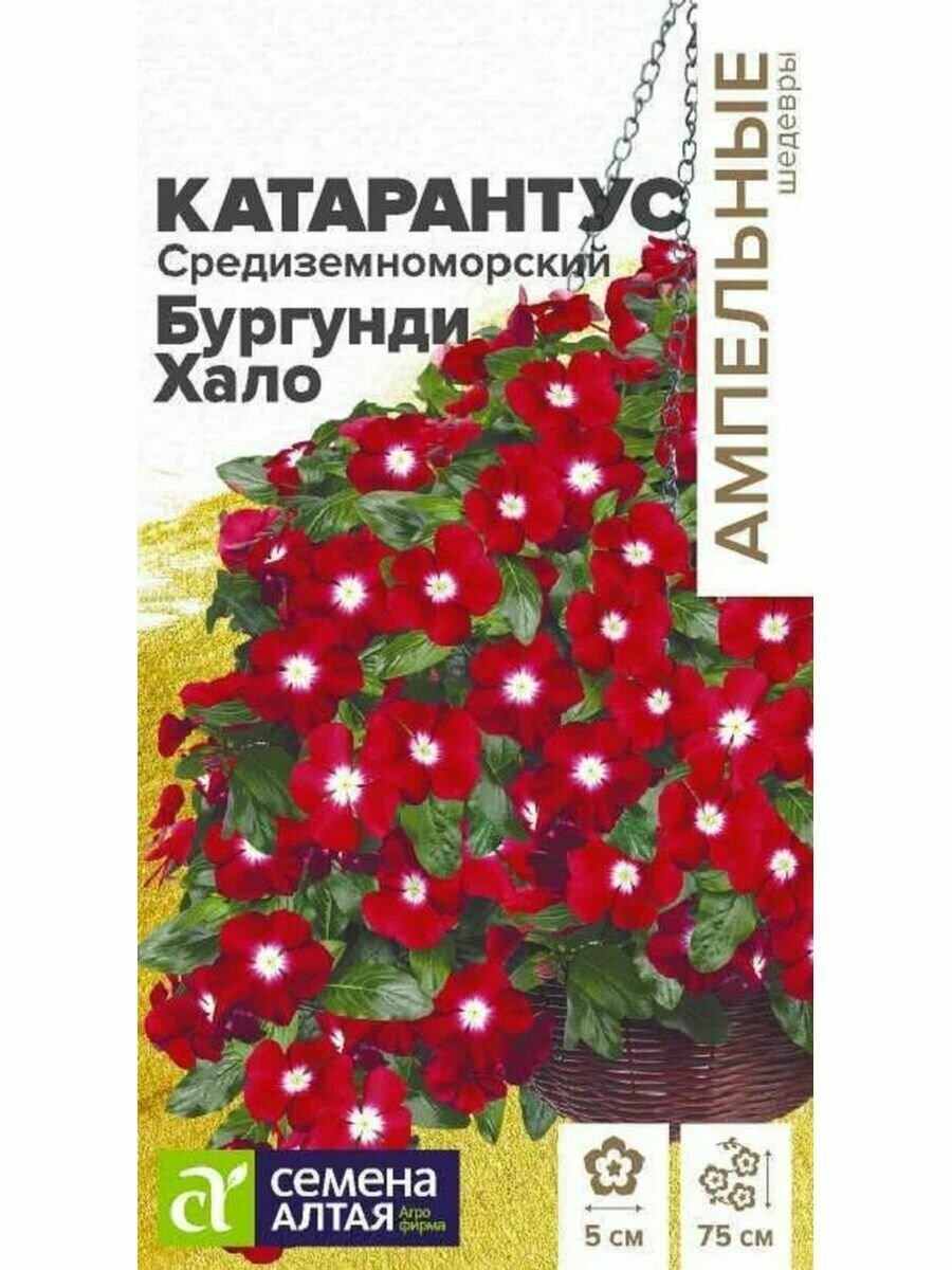 Катарантус Бургунди Хало