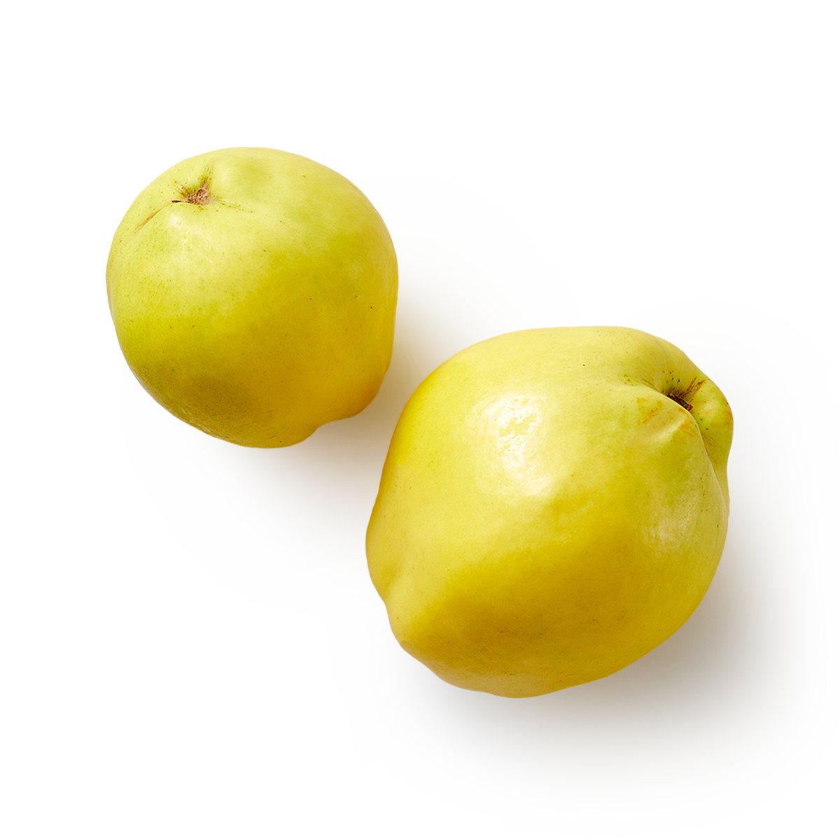 Айва, 2 шт, в подложке, 500 грамм, условия хранения: от +2 °C до +4 °C