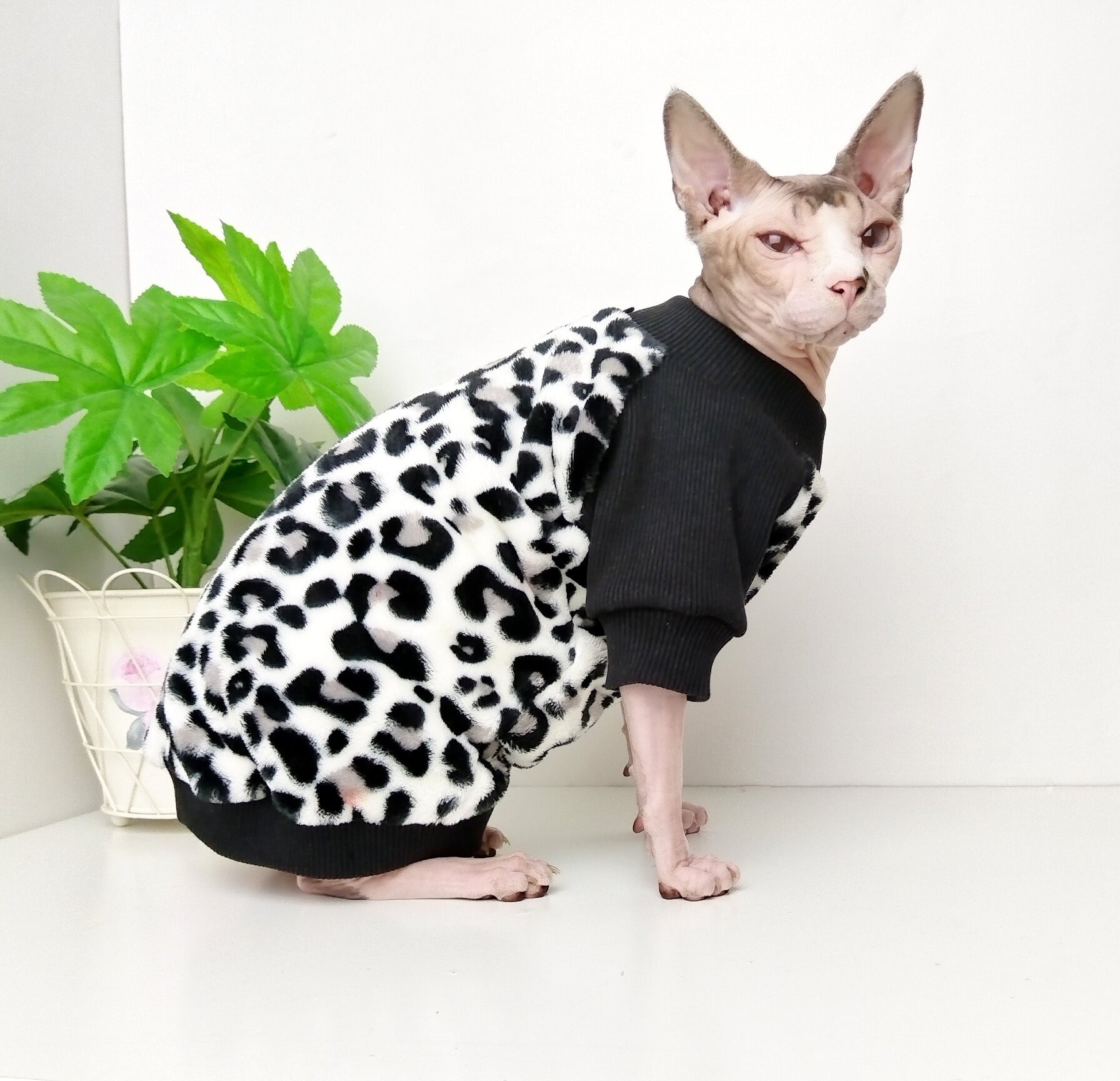 Толстовка, свитер, шуба для кошек сфинкс, размер 30 (длина спины 30см), цвет леопардовый/ одежда для кошек сфинкс / одежда для животных