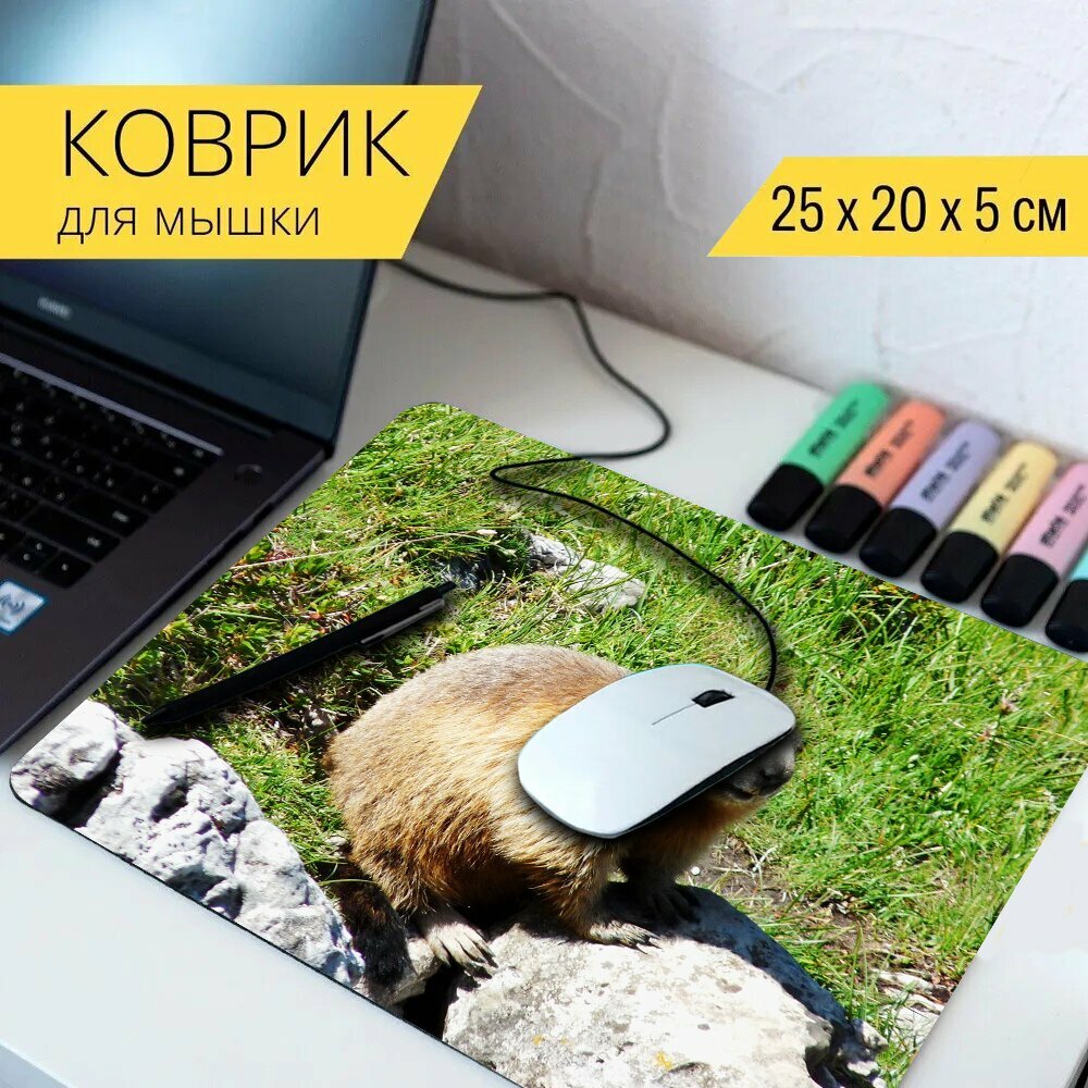 Коврик для мыши с принтом "Сурок, дахштайн, горный луг" 25x20см.