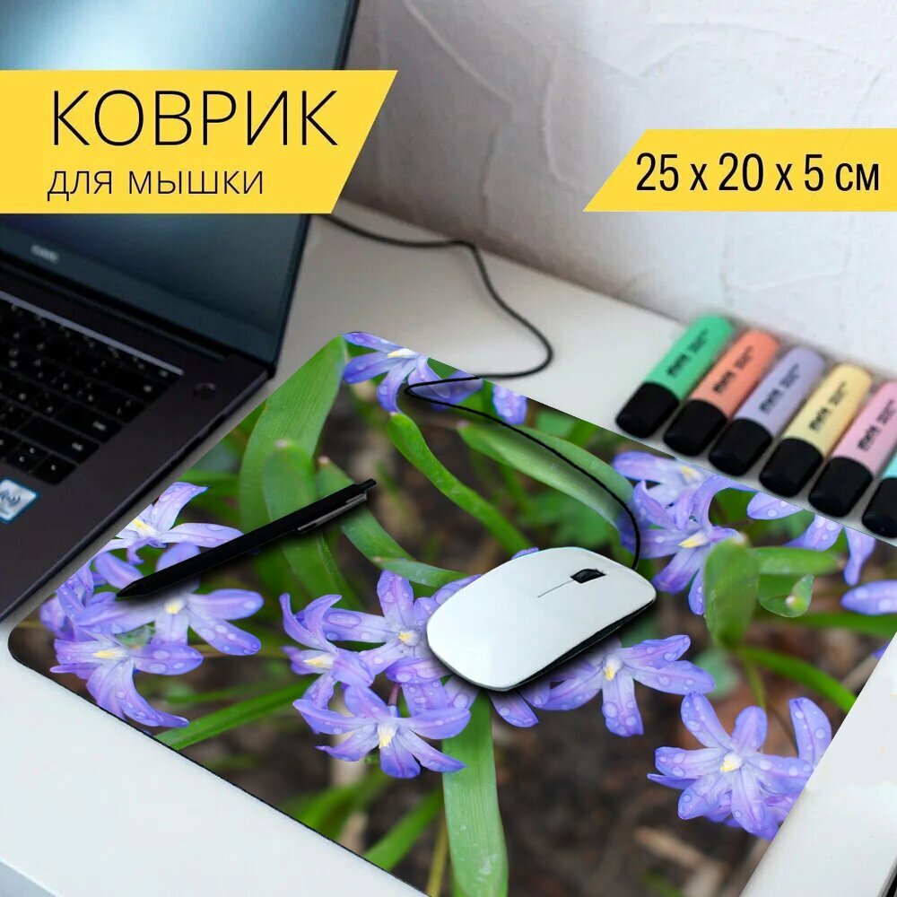 Коврик для мыши с принтом "Хионодокса, весна, аптекарский огород" 25x20см.