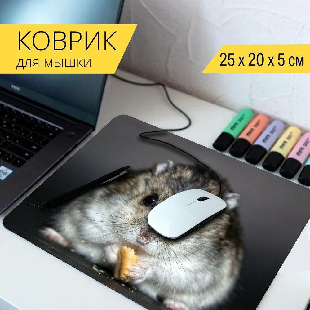 Коврик для мыши с принтом "Хомяк, грызун, карликовый хомяк" 25x20см.
